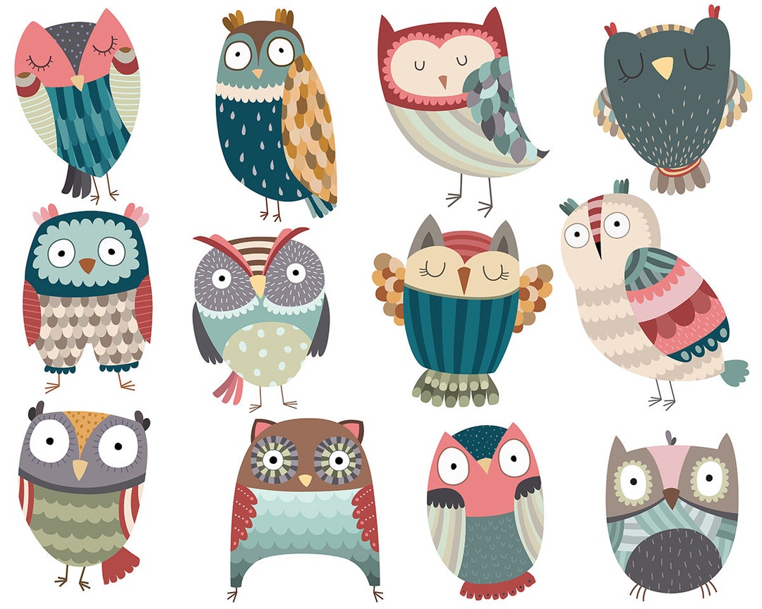 Owl Clipart - Set of 12 Unique Hand Drawn Owls - 300 DPI Vector, PNG ...