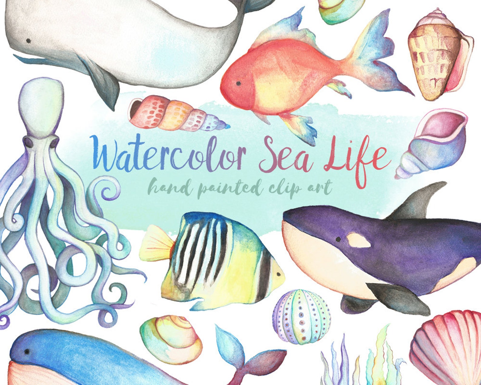 Watercolor Sea Life Clipart Watercolor Clipart Hand Painted | Etsy