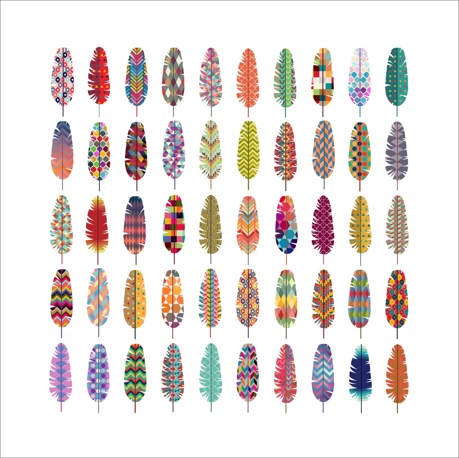 Drawn Colorful Feathers