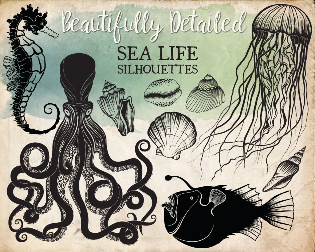 Ocean Life Silhouettes Clipart - Beautifully Detailed Sea Life Vector ...