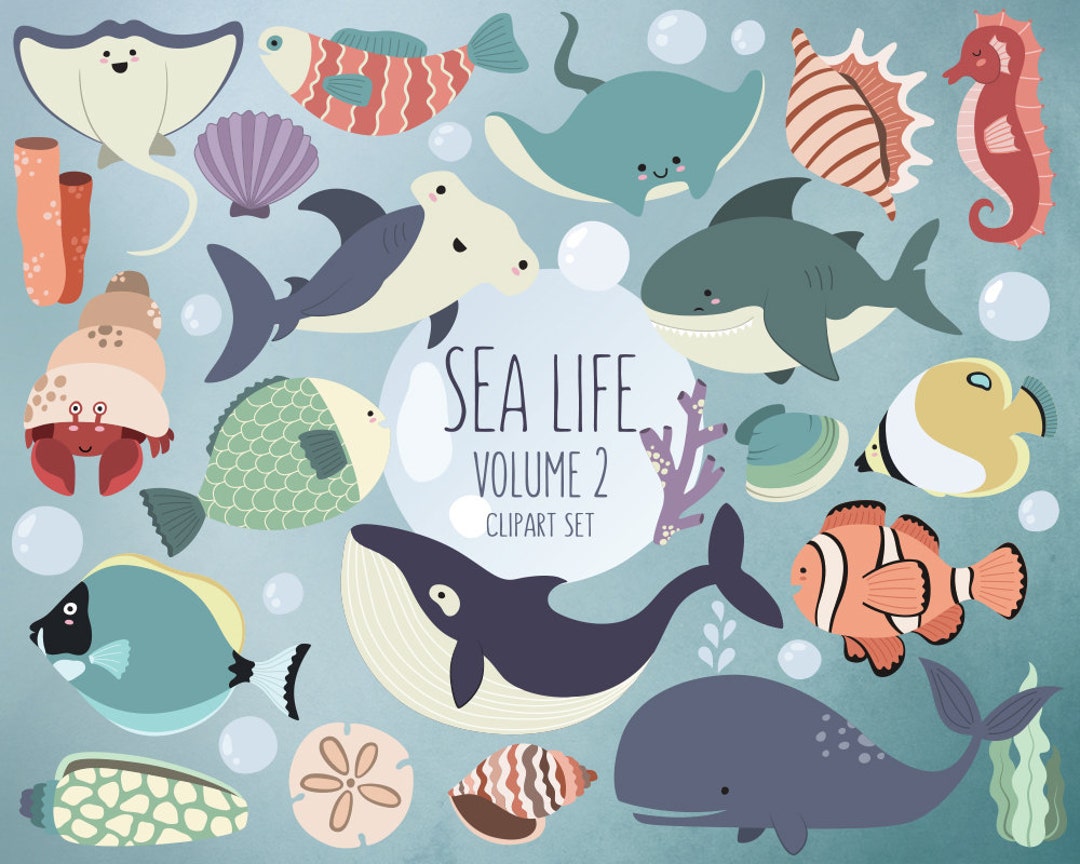 Sea Life Clipart Volume 2 - Ocean Clip Art Set - 24 Hi-res Vector, PNG ...