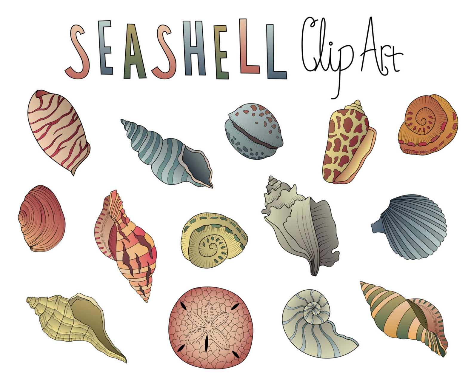 Vintage Seashells Clip Art Set of 14 PNG JPG and Vector 300 - Etsy