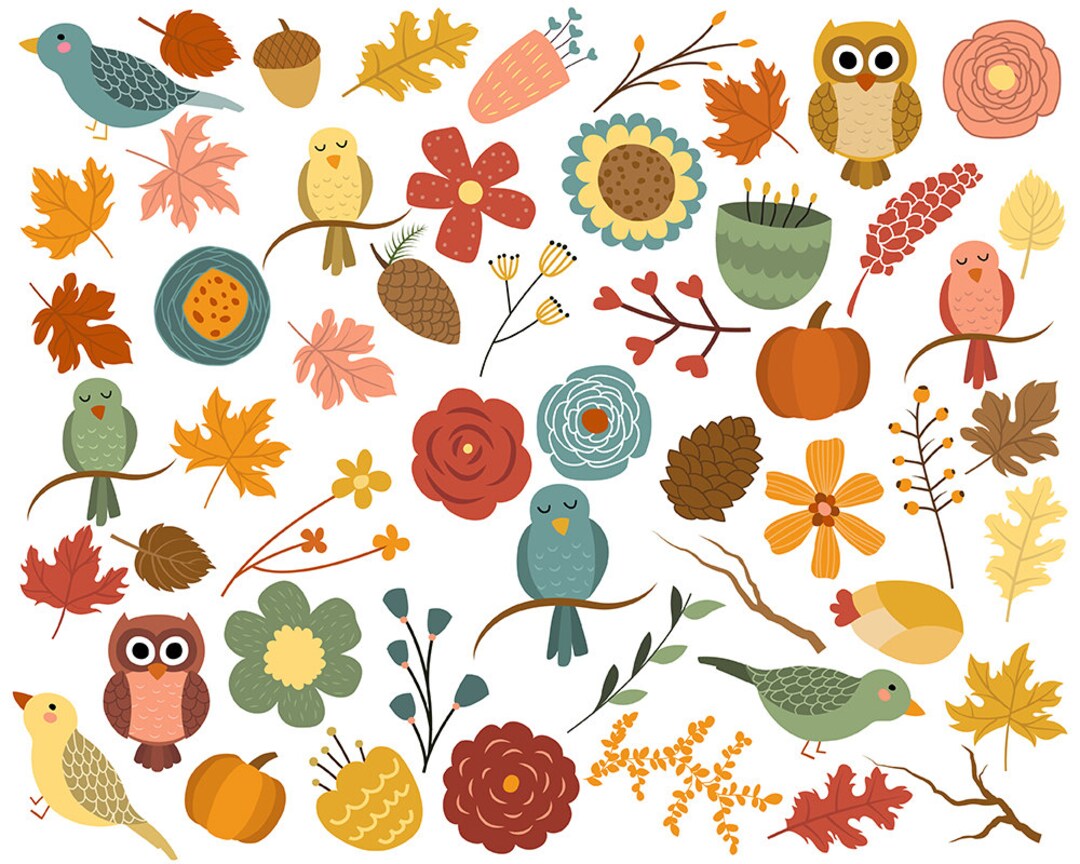 Autumn Leaves and Fall Florals Clip Art - Set of 53 PNG, JPG, and ...