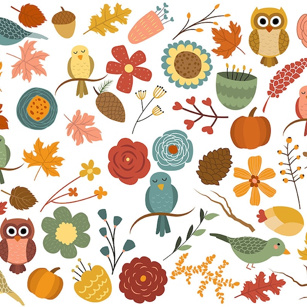 Owl Clipart - Set of 12 Unique Hand Drawn Owls - 300 DPI Vector, PNG ...