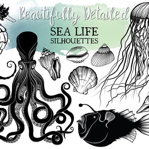 Ocean Life Silhouettes Clipart - Beautifully Detailed Sea Life Vector ...
