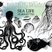 Ocean Life Silhouettes Clipart - Beautifully Detailed Sea Life Vector ...