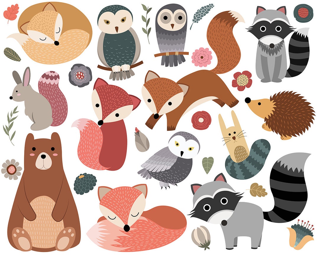 Woodland Critters Clip Art - Set of 30 300 DPI PNG, JPG, and Vector ...