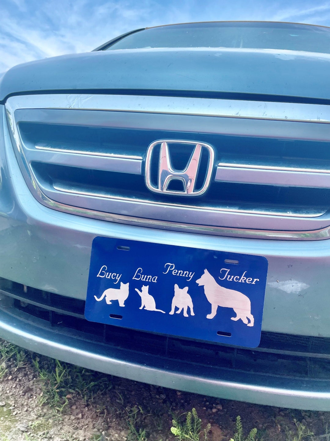 Custom Pet License Plate: Personalized Dog & Cat Vanity Plate - Etsy