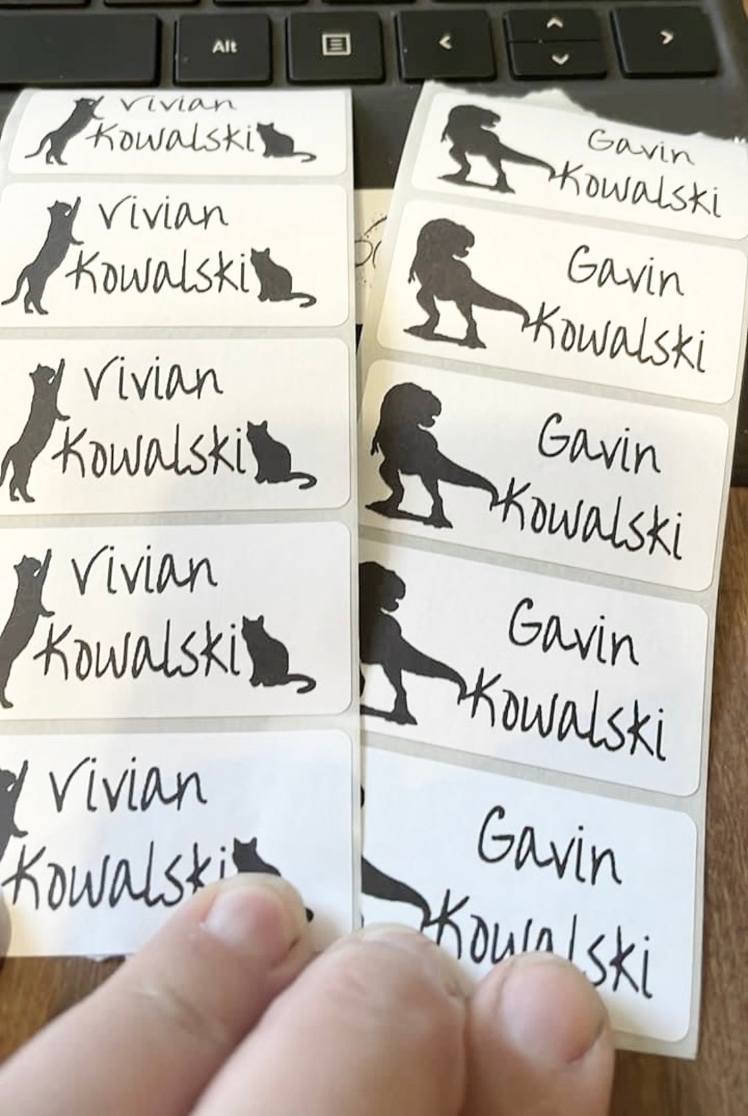 Custom Stickers, Cute Stickers, Funny Stickers, Cat Stickers, Name ...