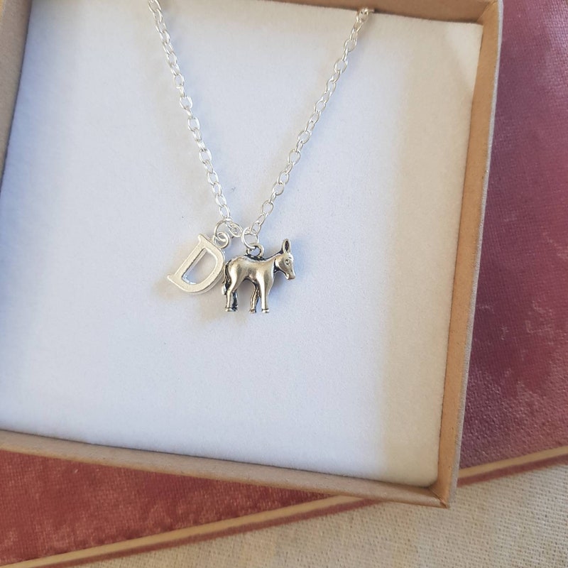 Donkey Gift for Friend - 60+ Gift Ideas for 2026