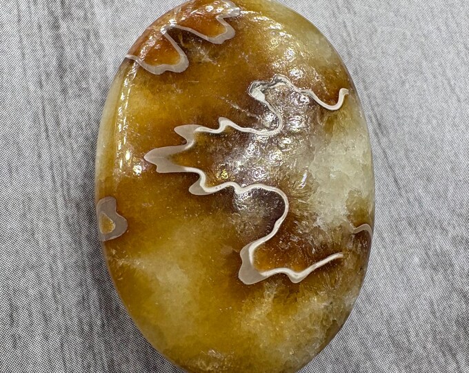 Suture Ammonite. US Seller. Daily Shipping. Genuine and Natural Stone ...