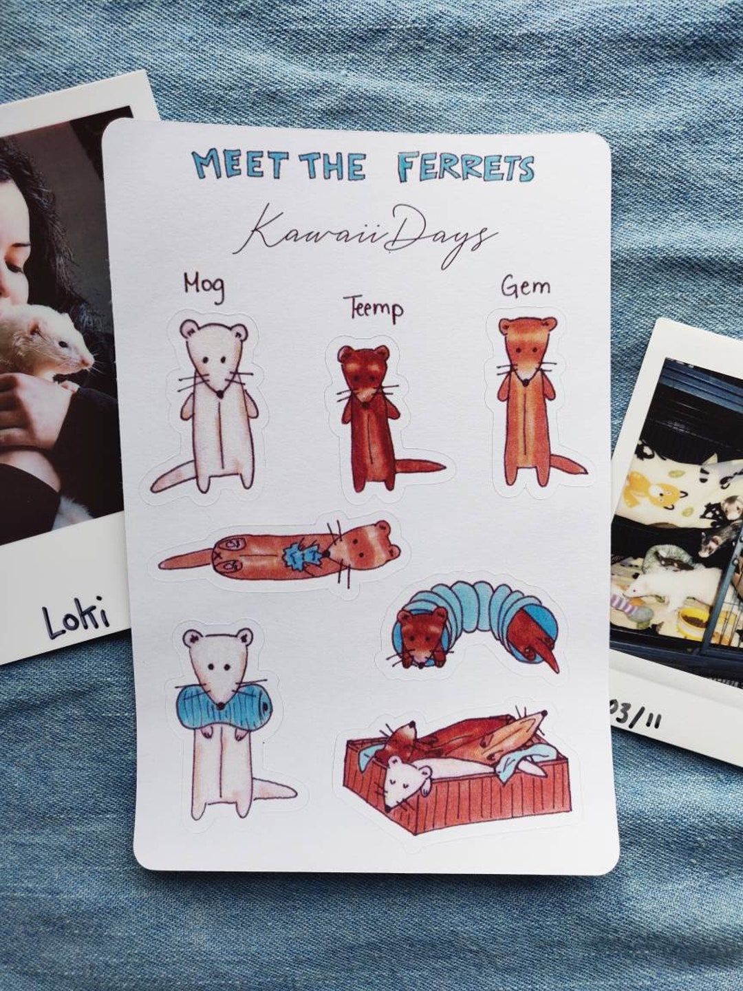 Ferret Stickers Meet the Ferrets Pet Ferrets - Etsy