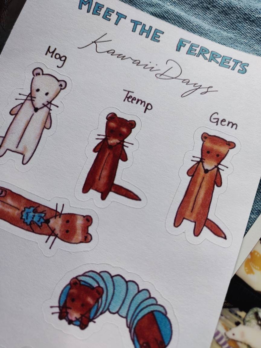 Ferret Stickers Meet the Ferrets Pet Ferrets - Etsy