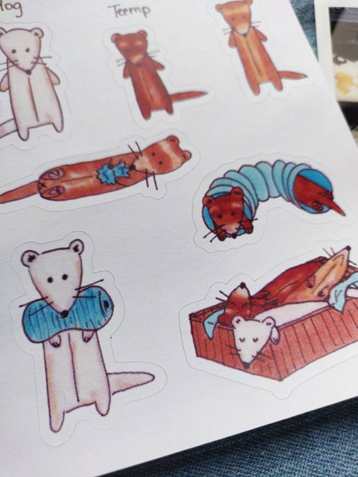 Ferret Stickers Meet the Ferrets Pet Ferrets - Etsy