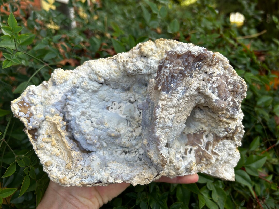 Agatized Coral Botryoidal Specimen 12-29-2-23 - Etsy