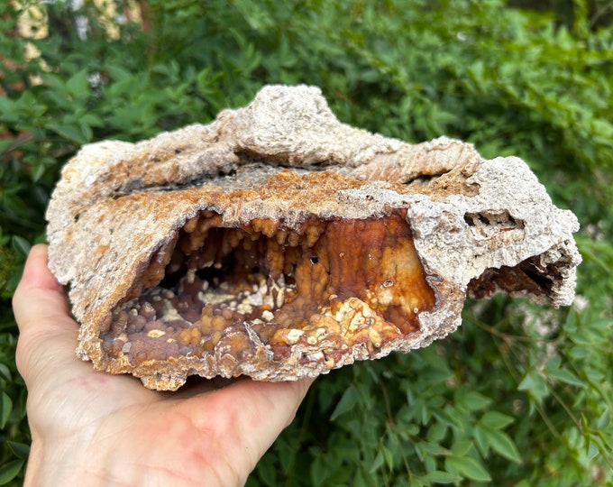 Fossilized Coral Cave Geode 6-18-6-24 - Etsy