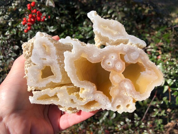 Rocks & Geodes Home Décor Agatized Coral Botryoidal Geode 2-10-2-22 ...