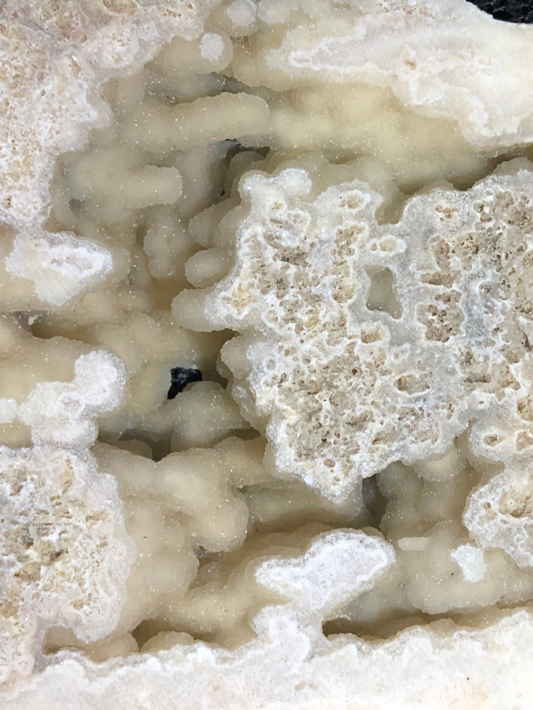 Agatized Coral Crystal Botryoidal Slice 5-30-6-23 - Etsy