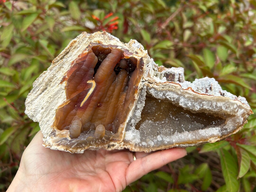 Agatized Botryoidal/crystal Specimen 11-15-1-24 - Etsy