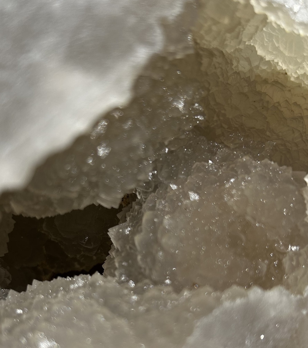 Beautiful Agatized Coral Fine Crystal Geode 2-20-8-24 - Etsy