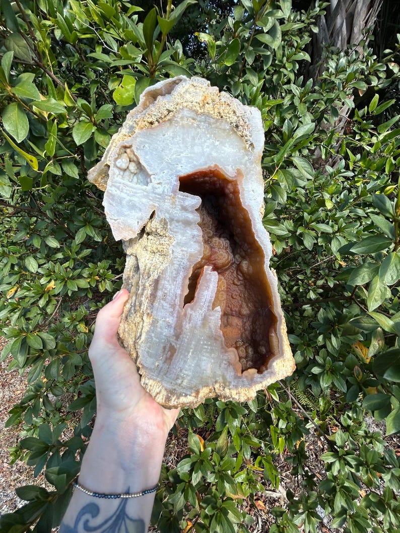 Agatized Coral Botryoidal Crystal Druzy Geode Half. 11-22-1-25 - Etsy