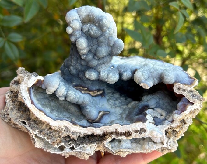 Agatized Coral Blue Botryoidal Specimen 6-7-2-25 - Etsy