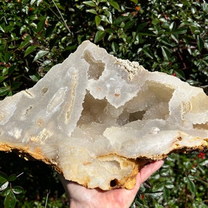 Beautiful Agatized Coral Fine Crystal Geode 2-20-8-24 - Etsy