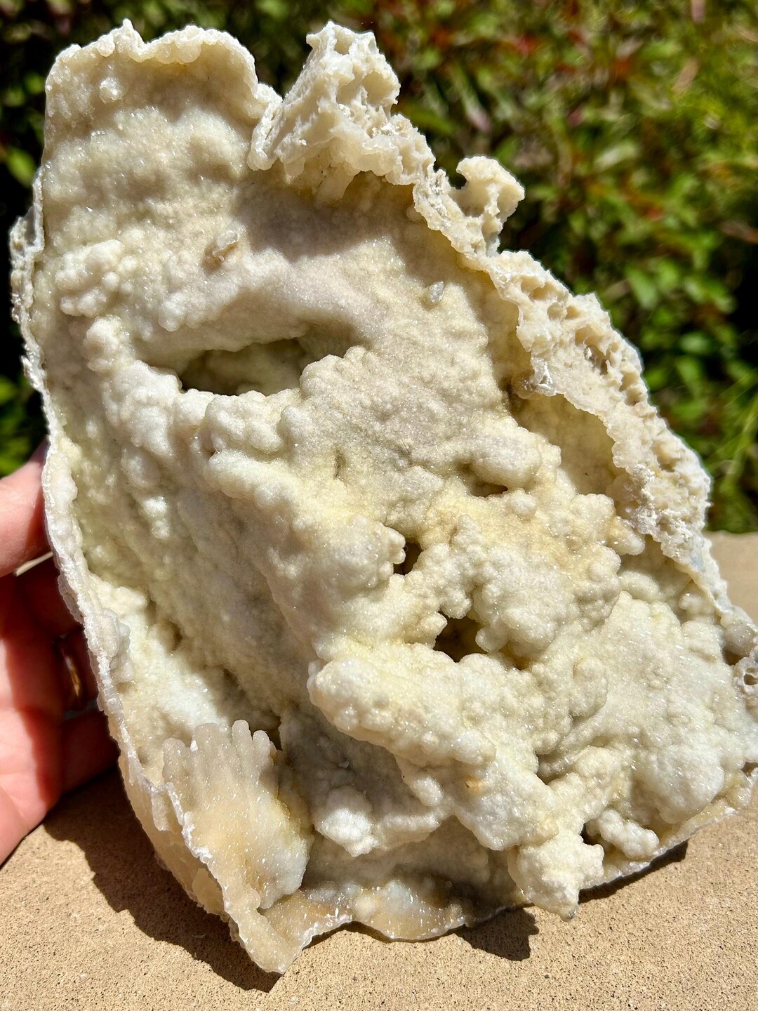 Fossilized Coral Botryoidal Crystal Druzy Geode 4-22-1-25 - Etsy