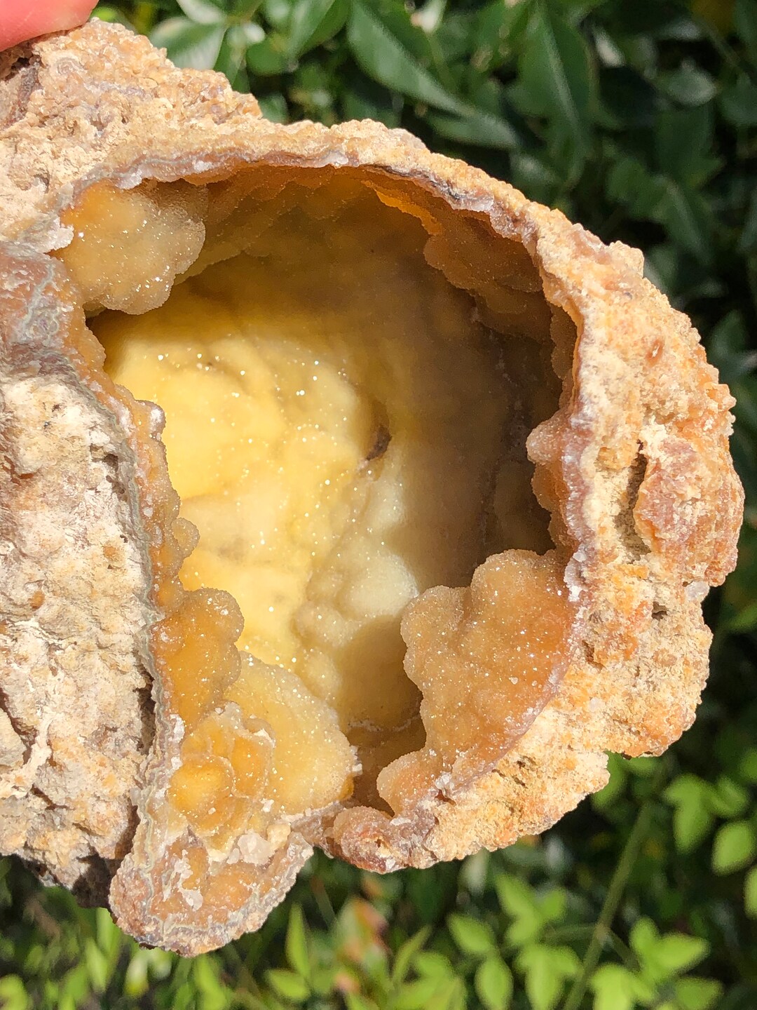 Beautiful Fossilized Coral Botryoidal Crystal Pocket 5-12-1-23 - Etsy