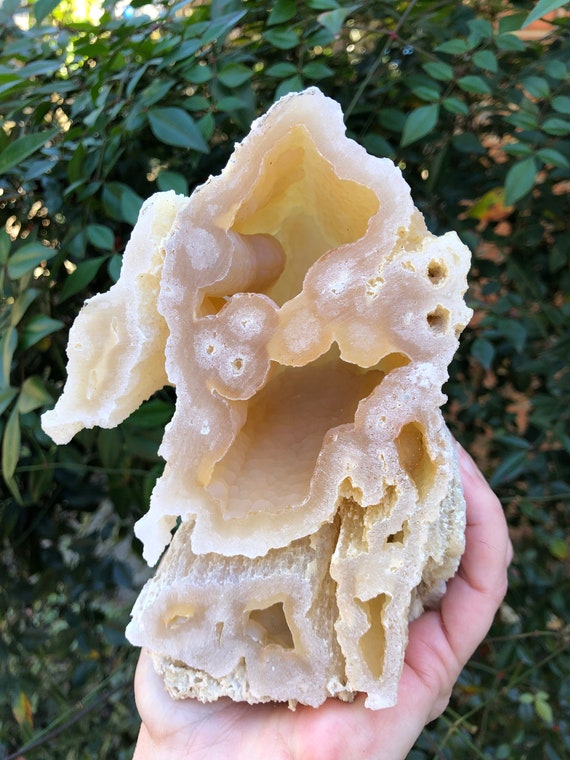 Rocks & Geodes Home Décor Agatized Coral Botryoidal Geode 2-10-2-22 ...