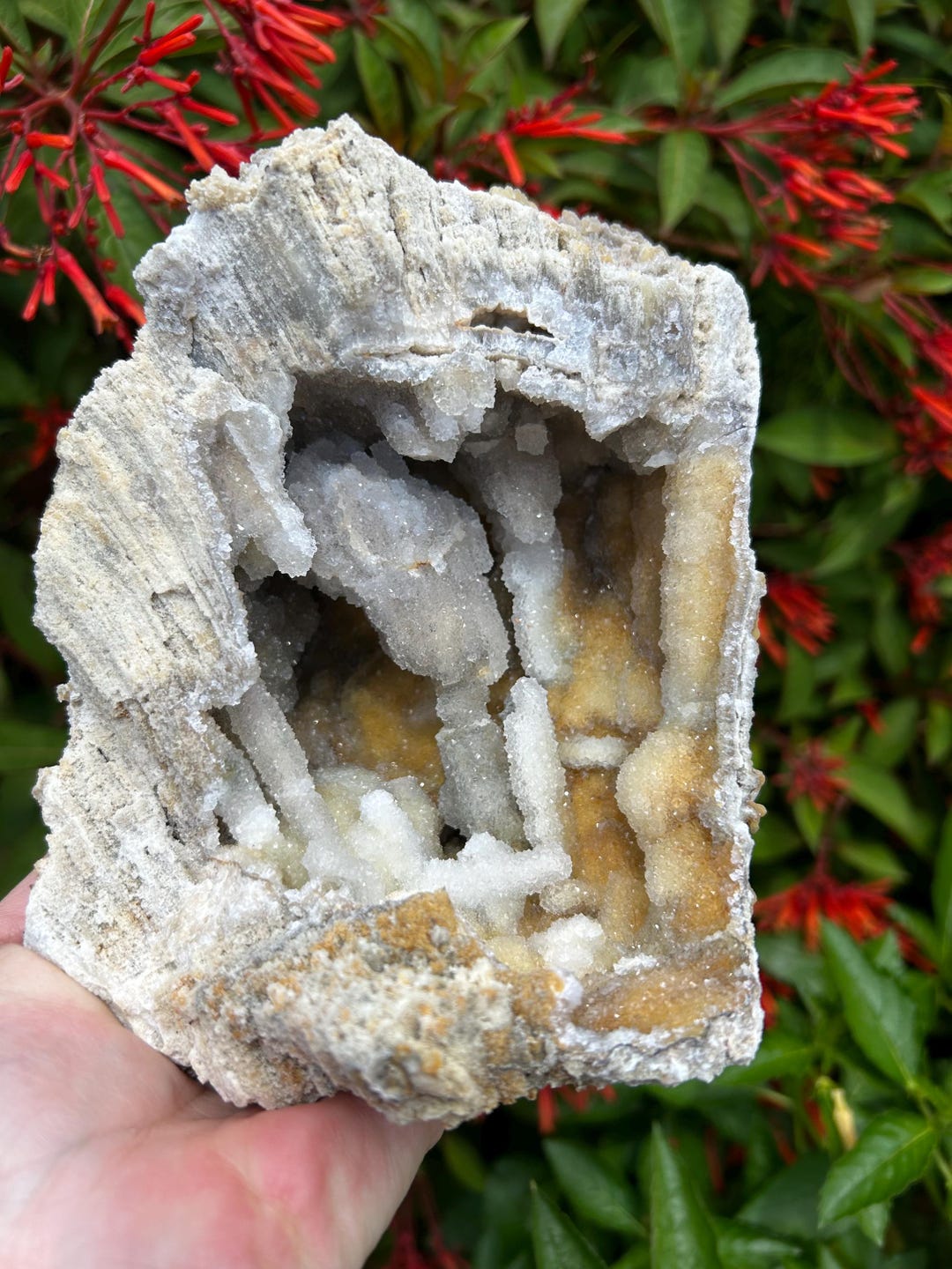 Agatized Coral Crystal Geode 8-22-5-25 - Etsy