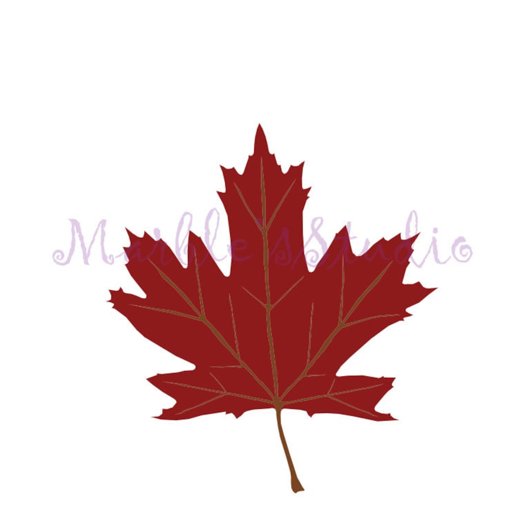 Maple Leaf SVG – DXF - PNG Cut File - Etsy