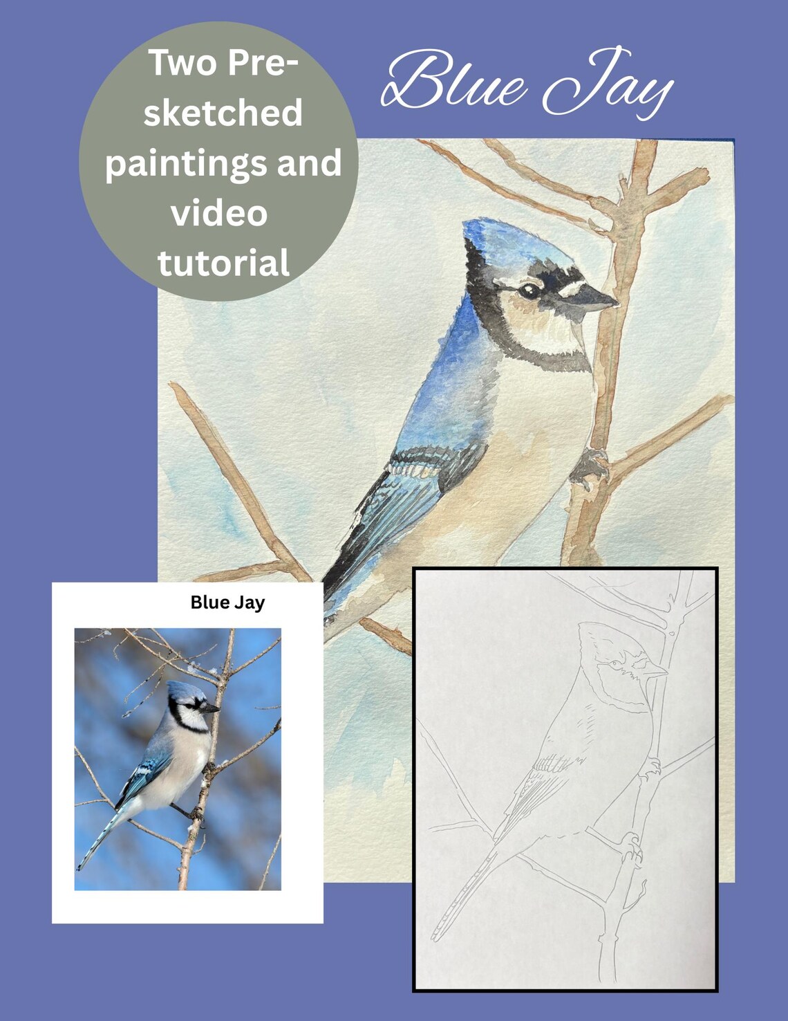 Watercolor Bird Painting Lesson, Blue Jay, Cardinal, Oriole, Digital ...
