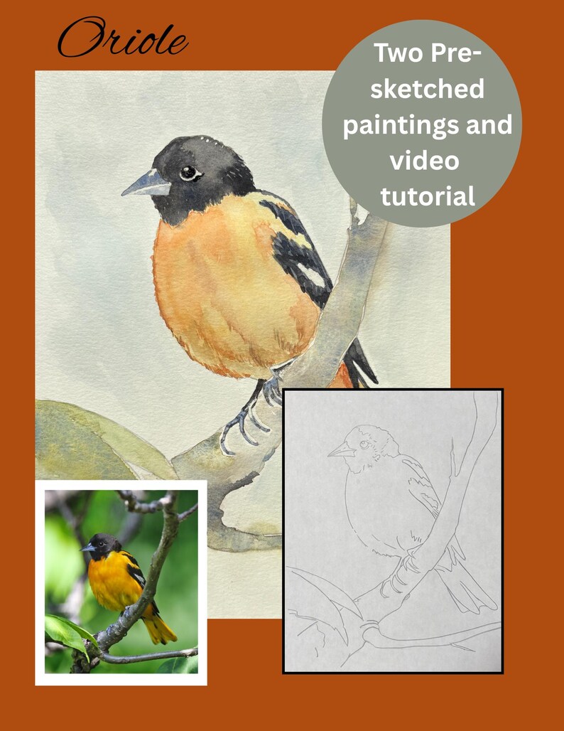 Watercolor Bird Painting Lesson, Blue Jay, Cardinal, Oriole, Digital ...