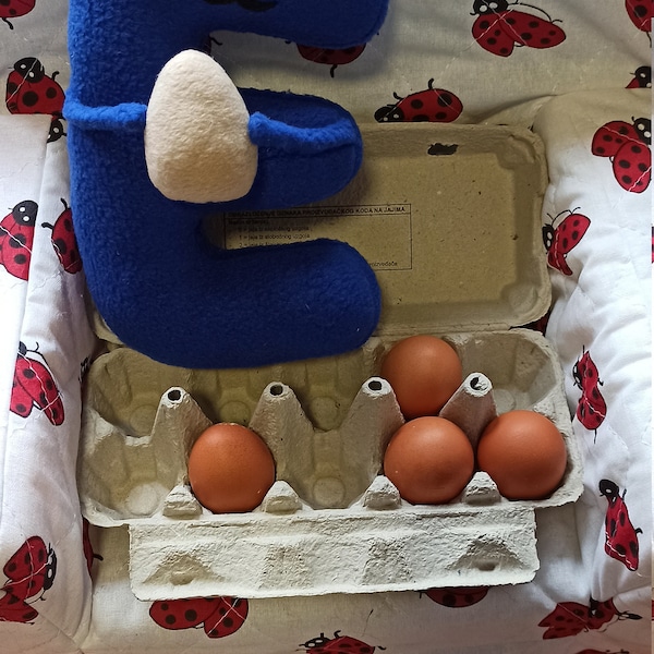 Letter E Plush - Etsy