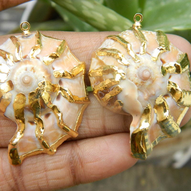 Sea Shell Pendant - Etsy