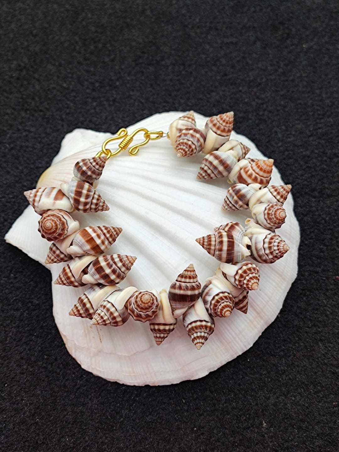 Real Shell Bracelet Natural Sea Shell Conch Bracelet Charrm Ocean ...