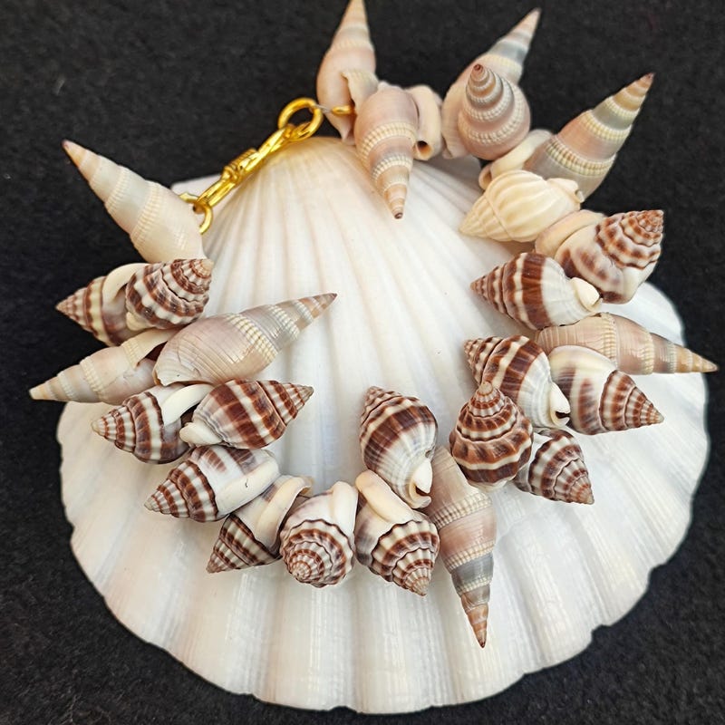 Shell Bracelet - Etsy