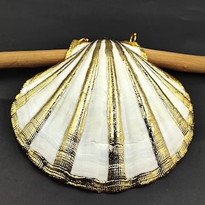 Gold Fill Scallop Shell Pendant, Irish Baking Shell Decor (4" Wide) - Etsy