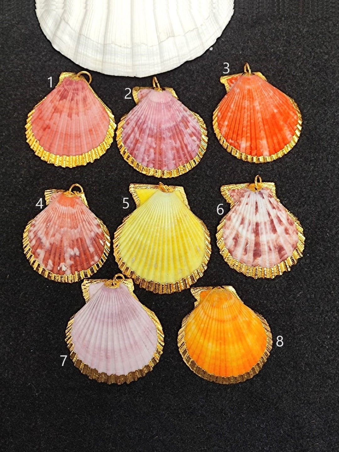 Real Scallop Seashell 18k Gold Fill Electroplated Pendant Irish Baking ...