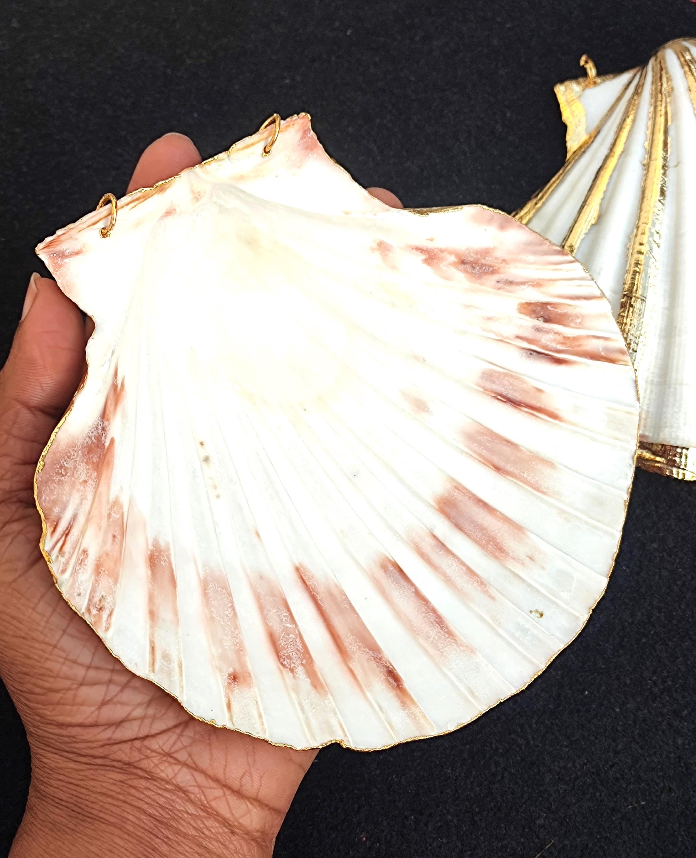 18k Gold Fill Scallop Seashell Pendant, Irish Baking Shell (5.2-5.6 ...