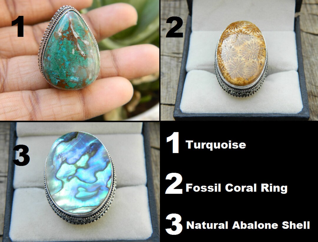 Turquoise Fossil Coral and Natural Abalone Shell Silver Plated Brass ...