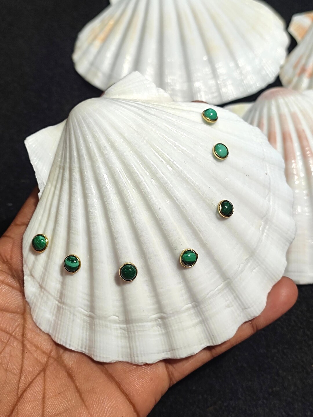 1 Extra Large Real Scallop Seashell Irish Baking Scallop Shells Pecten ...