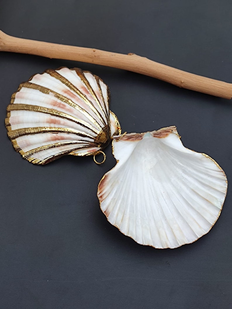 Gold Filled Scallop Shell Pendant, Extra Large Genuine Seashell - Etsy