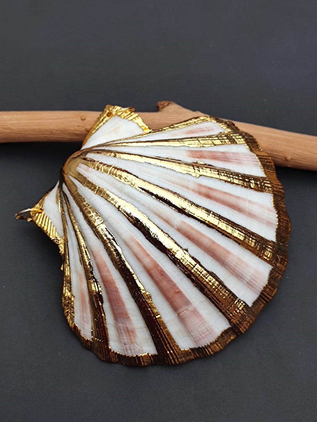 Gold Filled Scallop Shell Pendant, Extra Large Genuine Seashell - Etsy