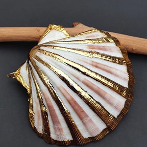 Gold Filled Scallop Shell Pendant, Extra Large Genuine Seashell - Etsy