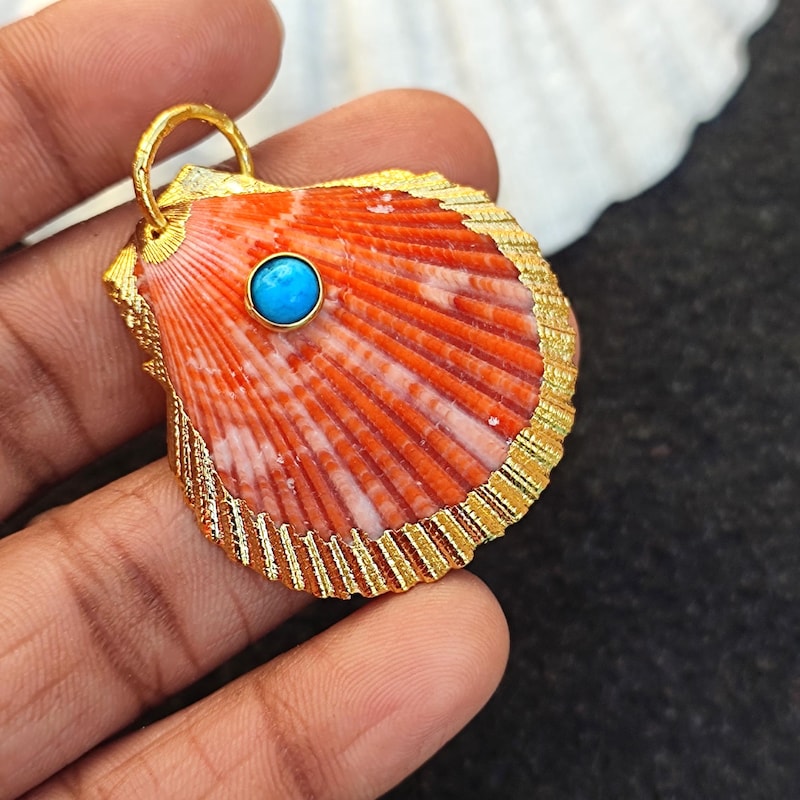 Seashell Jewelry - Etsy