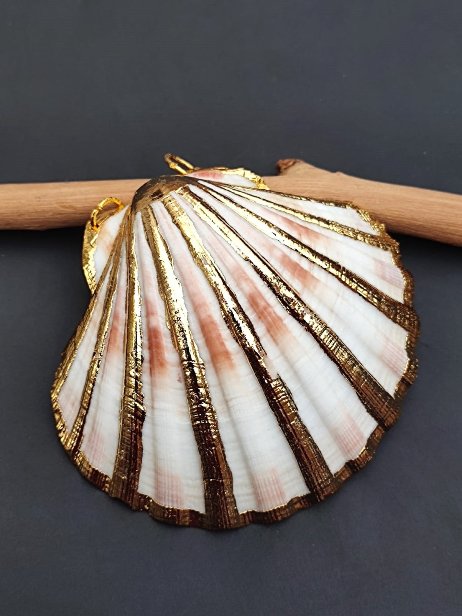 Gold Filled Scallop Shell Pendant, Extra Large Genuine Seashell - Etsy