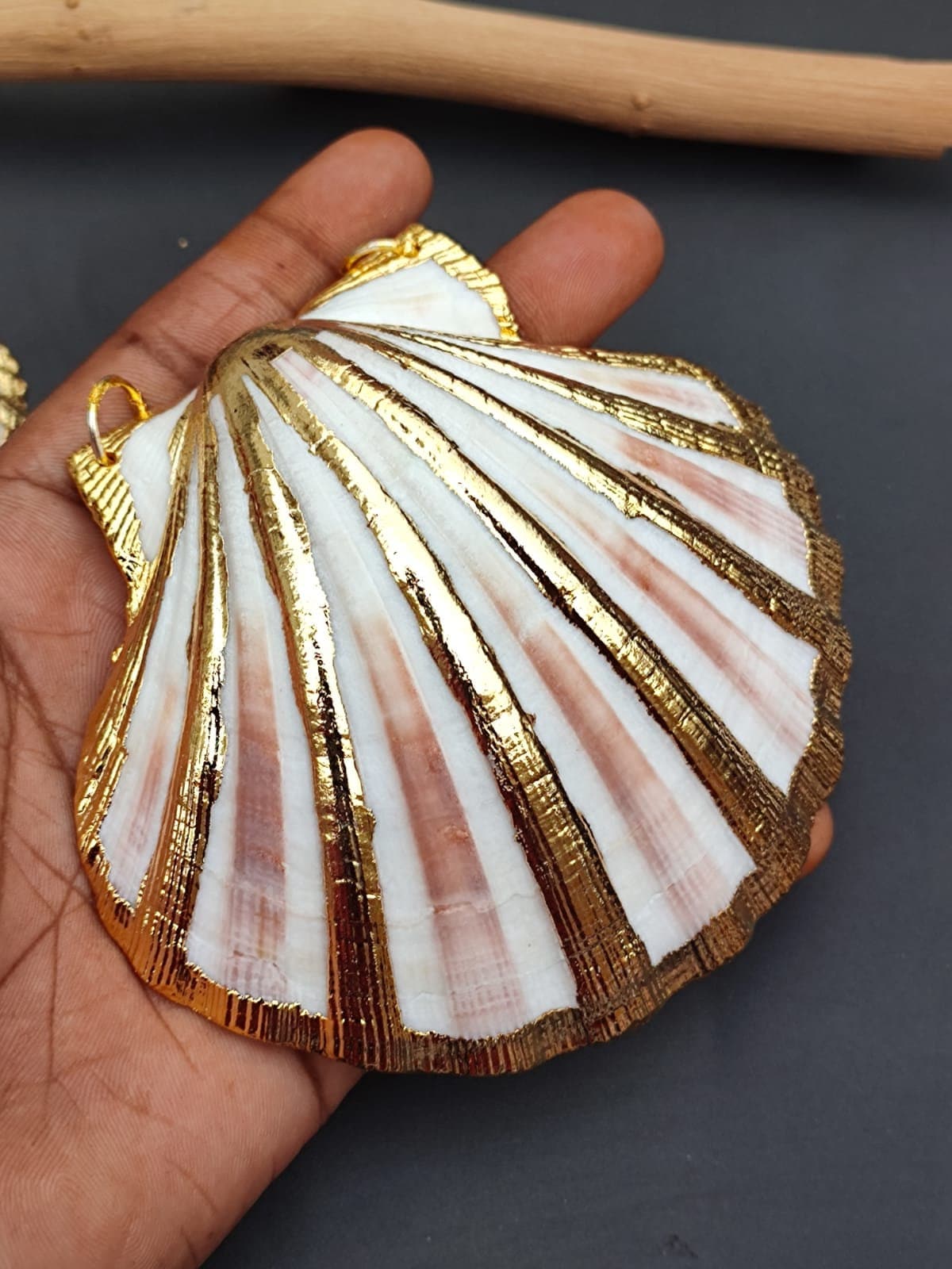 Gold Filled Scallop Shell Pendant, Extra Large Genuine Seashell - Etsy
