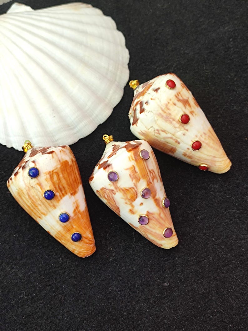 Conus Vexillum Flag Cone Pendant Beach Cone Genuine Natural Shell ...
